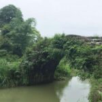 Guangzhou to Yingxi Corridor and Cave Fairland PRI Day Tour - The Value Proposition