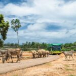 Guaranteed Departures: Vinpearl Safari & Countryside Pepper Farm - Detailed Breakdown of the Tour Itinerary