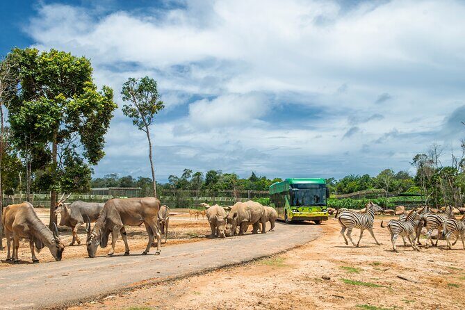 Guaranteed Departures: Vinpearl Safari & Countryside Pepper Farm - Detailed Breakdown of the Tour Itinerary