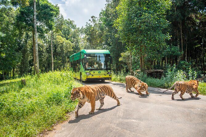 Guaranteed Departures: Wild & Wonderful! VinWonders & Safari Park - Authentic Experiences and Practical Considerations