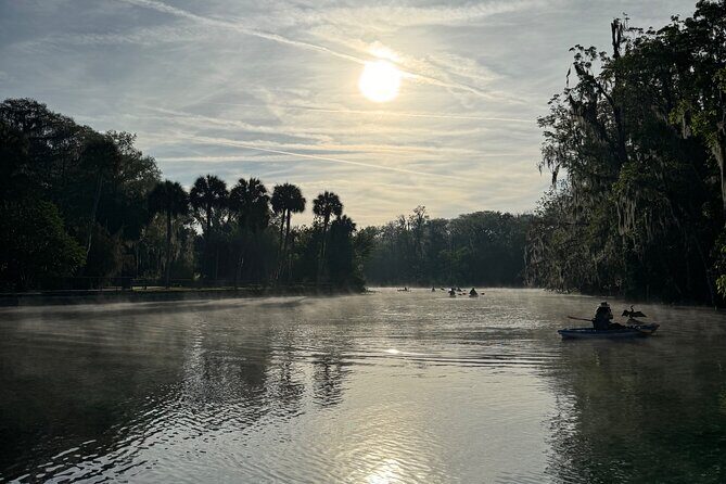 Guided Clear Kayak Tours on the Silver River - A Closer Look at the Itinerary