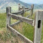 Guided Hiking Adventures in Colorado with Local Treats - The Main Event: The Guided Hike