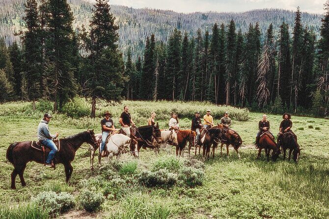 Guided Horseback Trail Rides - Why Choose This Experience?
