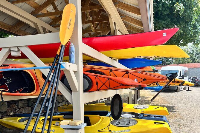 Guided Kayak at the Crane Estate - What’s Included and What’s Not