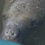 Guided Kayak Experience at EG Simmons Park - Practicalities and Group Dynamics