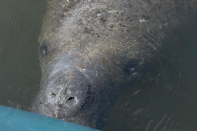 Guided Kayak Experience at EG Simmons Park - Practicalities and Group Dynamics