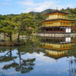 Guided Kyoto City Cherry Blossom One Day Private Tour - Practical Details and What It Means for You