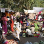 Guided Morning E-Rickshaw Ride with Food Tasting - Value and Practicalities
