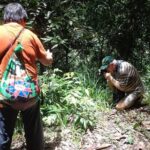 Guided Nature Trail to Kanneliya Forest - A Well-Structured Itinerary