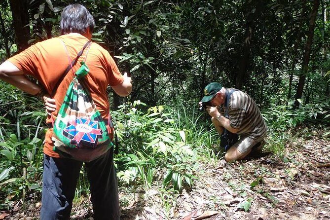 Guided Nature Trail to Kanneliya Forest - A Well-Structured Itinerary