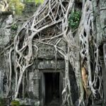 Guided Private A/C Vehicle Tour to Angkor Wat and Small Circle with Two Extras - The Advantages of a Private, Air-Conditioned Vehicle