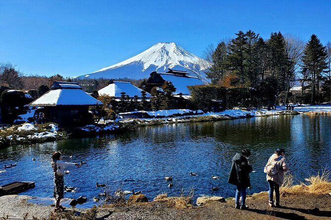Guided Private Mt. Fuji and Hakone Tour GREEN NUMBER PLATES - The Cost and Value