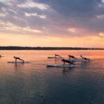 Guided Stand Up Paddleboarding Activity in Hilton Head Island - Why Price Comes With Value