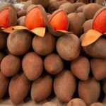 Guided Tasting of 15+ Tropical Fruits in Playa del Carmen - The Value of This Experience