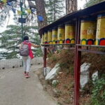 Guided Tour: Himachal Heritage - Art, Tea, Pottery & Culture - Frequently Asked Questions