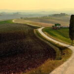 Guided tour in wonderful Tuscany - Why This Tour Offers Value