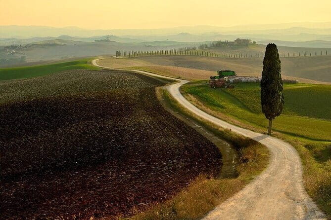 Guided tour in wonderful Tuscany - Why This Tour Offers Value