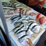 Guided tour to discover Tokyo. - Practical Details and What Travelers Should Know