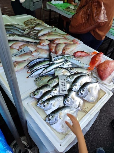 Guided tour to discover Tokyo. - Practical Details and What Travelers Should Know