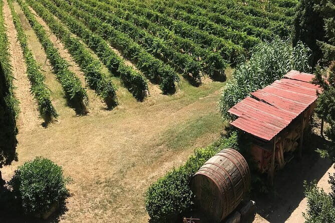 Guided tour with wine tasting and local organic products - Practicalities and Logistics