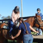 Guided Two Hour Horseback Trail Ride in Central Florida - An In-Depth Look at the Trail Ride Experience