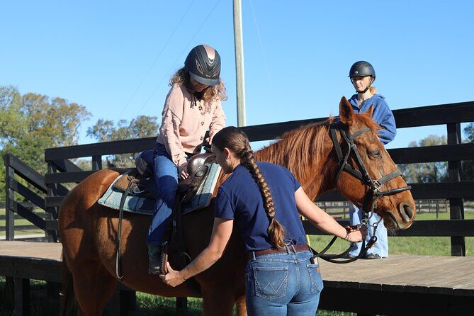 Guided Two Hour Horseback Trail Ride in Central Florida - An In-Depth Look at the Trail Ride Experience