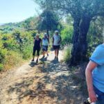 Guided Village walk with Stories in Dharamsala - The Logistics and Practicalities