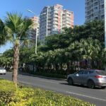 Guided Walking Tour to experience life of a local Hainanese - Why Choose a Private Tour?