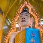 Guided Walking Tour to the Historical Attractions in Farrer Park - Why This Tour Is a Great Choice