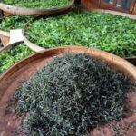 Guilin: City Tour with Elephant Hill & Ming Tea Tasting - What To Expect – And What Not To Expect