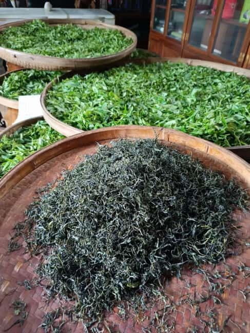 Guilin: City Tour with Elephant Hill & Ming Tea Tasting - What To Expect – And What Not To Expect