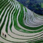 Guilin Day Trip: Dragon's Backbone Rice Terraces & Ping'an Zhuang Ethnic Village - Evaluating the Price and Overall Value