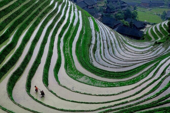 Guilin Day Trip: Dragon's Backbone Rice Terraces & Ping'an Zhuang Ethnic Village - Evaluating the Price and Overall Value