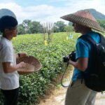 Guilin Private Tour of Daxu Old Town and Yaoshan Tea Plantation - How to Make the Most of the Day