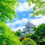 Gujo, Hida Takayama, and Shirakawa-go Day Tour from Nagoya - Who Will Love This Tour?