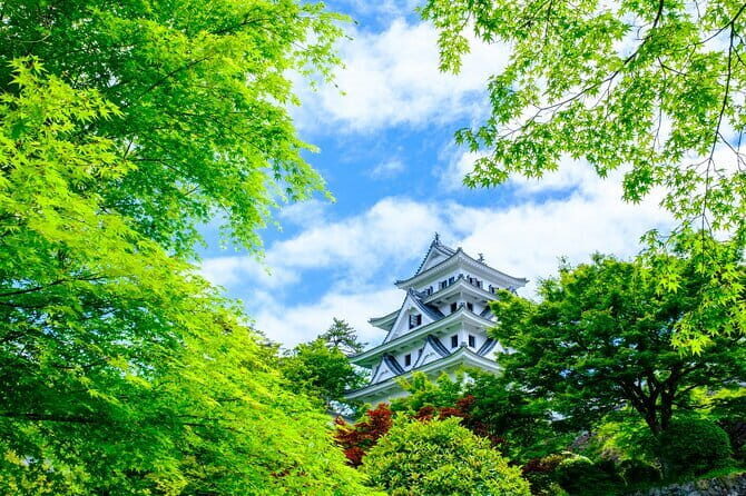 Gujo, Hida Takayama, and Shirakawa-go Day Tour from Nagoya - Who Will Love This Tour?