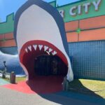 Gulf Shores Beach Splash and Dash Tour & Scavenger Hunt - Authentic traveller insights and considerations