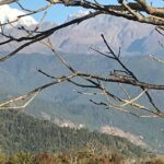 gurung village(puma) tour( no permit needed ) - Practical Details and What to Expect