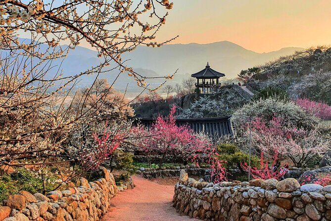 Gwangyang Plum Blossom & Jeonju Hanok Village Day Tour from Seoul - Is It Worth the Price?