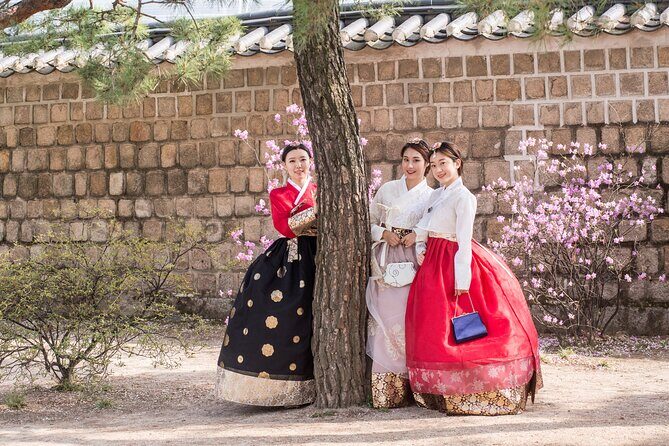 Gyeongbokgung Palace Hanbok Rental Experience Hanboknam () - A Closer Look at the Collection and Styles