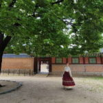 Gyeongbokgung Palace, Jogyesa Temple and Bukchon village - Day of the Tour: What to Expect