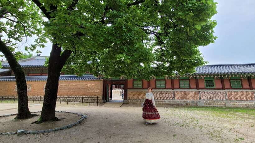 Gyeongbokgung Palace, Jogyesa Temple and Bukchon village - Day of the Tour: What to Expect