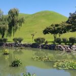 Gyeongju ONE-DAY Highlights for PRIVATE CRUISE PASSENGER'S - What Travelers Say