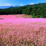 Ha Giang 5 Days 4 Nights Private Tour - Practical Details and What Travelers Should Know