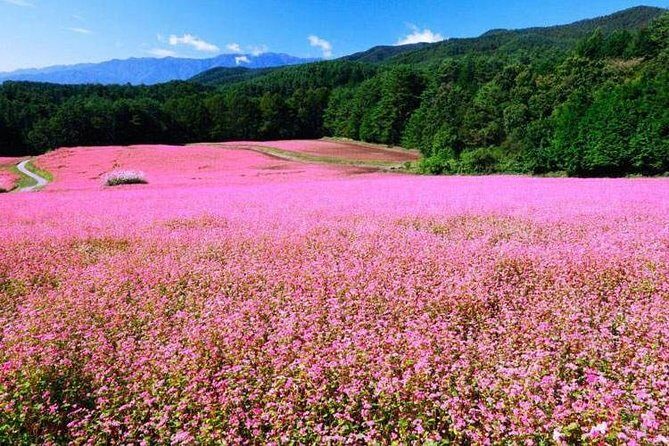 Ha Giang 5 Days 4 Nights Private Tour - Practical Details and What Travelers Should Know