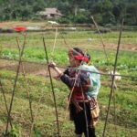 Ha Giang Easy Rider 3D3N - Day 2: Royalty, Culture, and Serenity