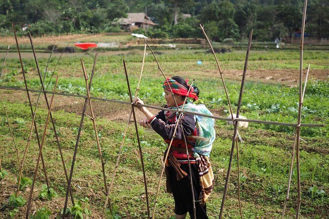 Ha Giang Easy Rider 3D3N - Day 2: Royalty, Culture, and Serenity