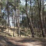 Ha Giang Loop 3 Days from Hanoi by Ha Giang Expeditions - What the Experience Means for Travelers