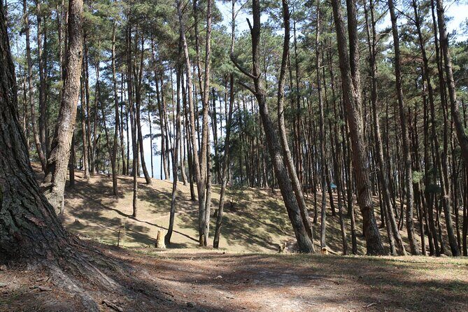 Ha Giang Loop 3 Days from Hanoi by Ha Giang Expeditions - What the Experience Means for Travelers