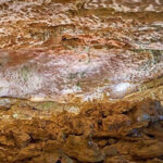 Ha Long 1 Day Luxury Small Group & Kayaking - What’s Included & What’s Not